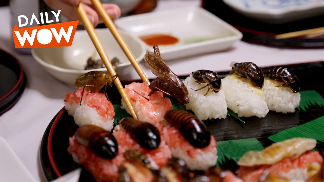 Trending now: Insect Sushi of Japan | dailyWOW